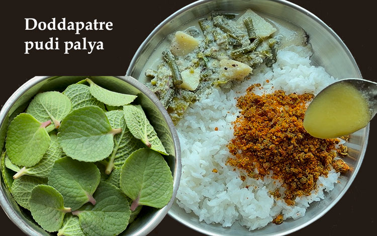 Doddapatre pudi palya recipe | How to make Ajwain leaf stir fry ...