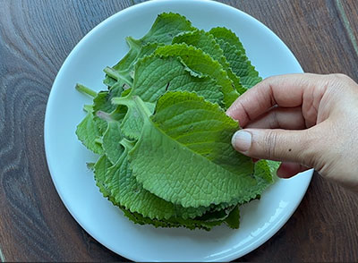 Doddaptre tovve recipe | How to make ajwain leaves dal | Panikoorka or ...