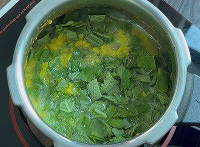 Doddaptre tovve recipe | How to make ajwain leaves dal | Panikoorka or ...